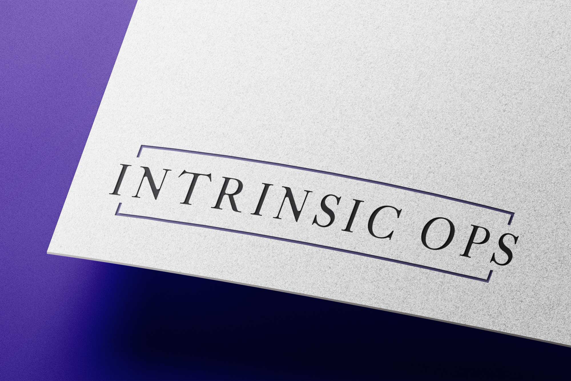 Intrinsic Ops - Nerdette Design, LLC